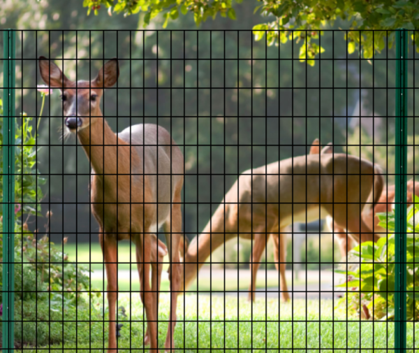 Deer Fencing - Wire Cloth Man