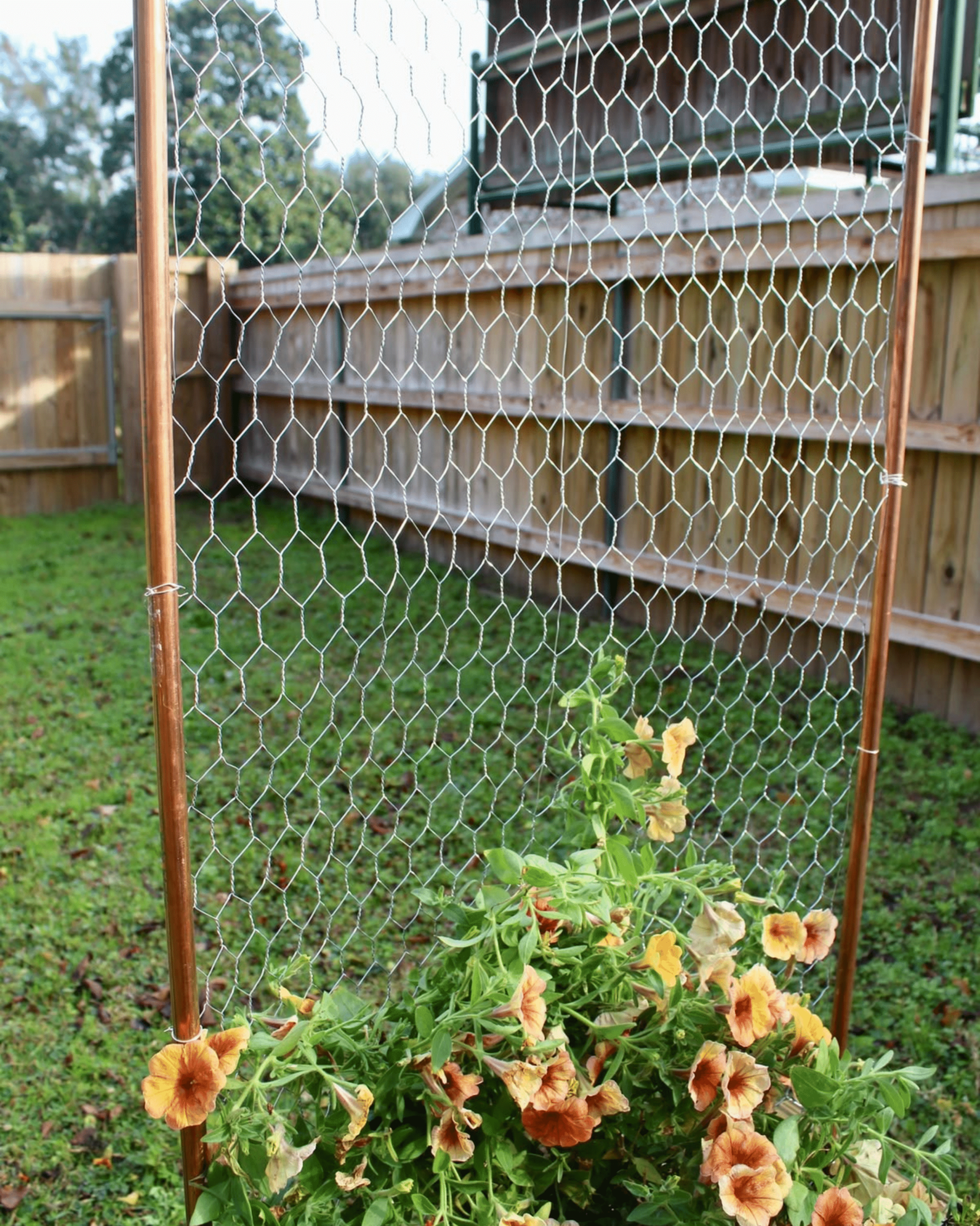 The Role of Wire Mesh in Gardening - Wire Cloth Man