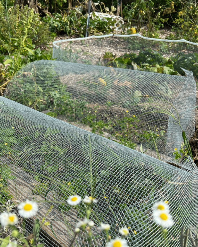 Hardware Cloth Archives - Wire Cloth Man