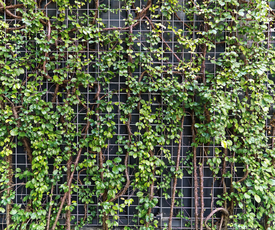 Wire Mesh: A Versatile Material for Decorative Applications - Wire ...