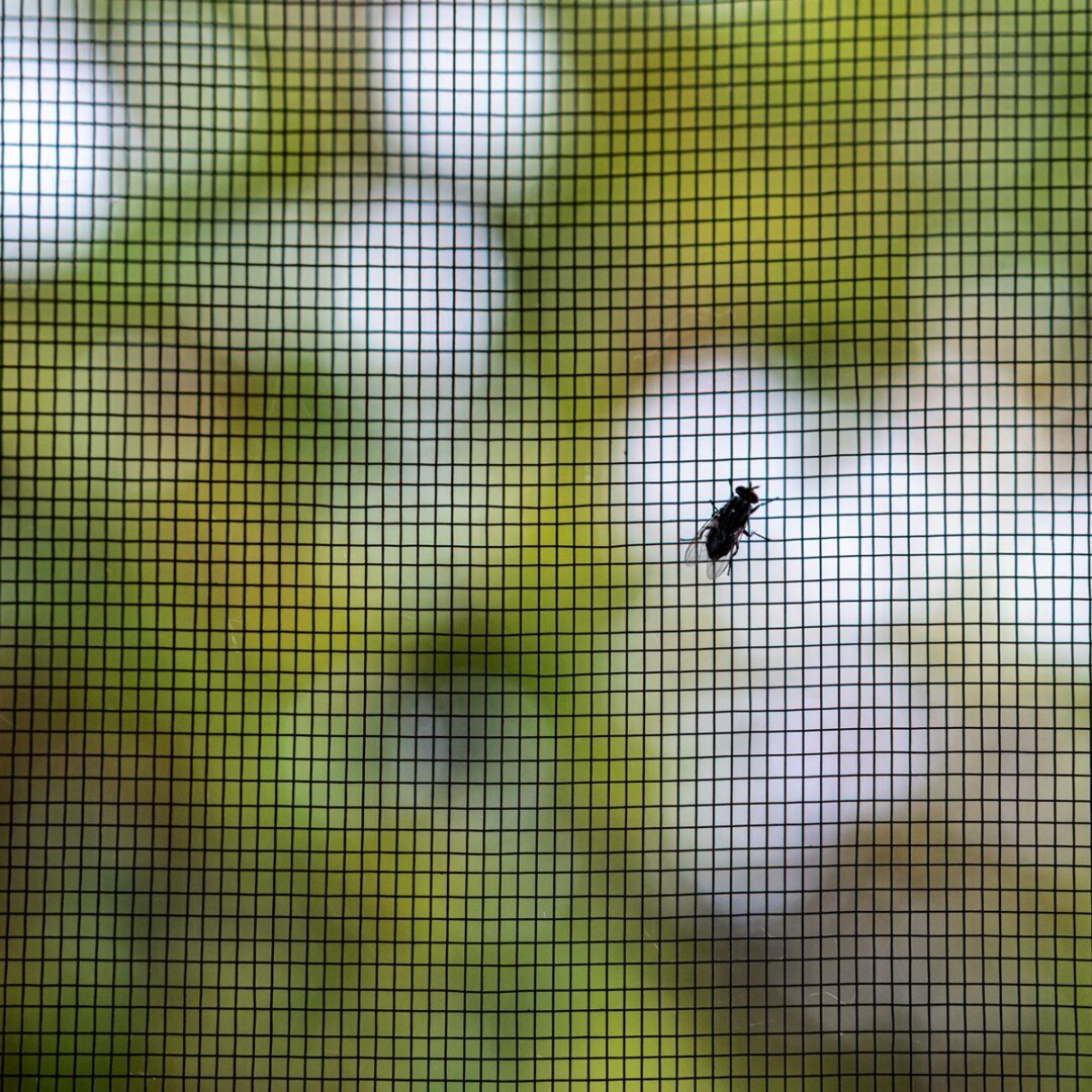 Using Wire Mesh for Effective Pest Control - Wire Cloth Man